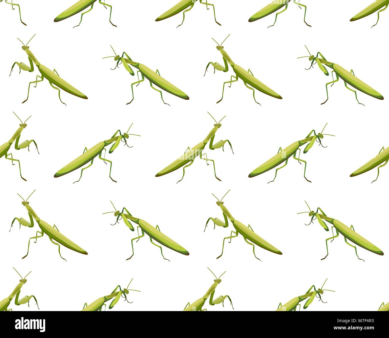 Vector seamless pattern of mantis on white background Stock Vector ...