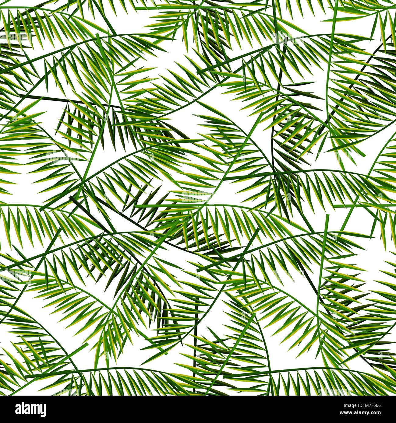 Vector seamless pattern with palm leaves. Summer illustration. Exotic ...