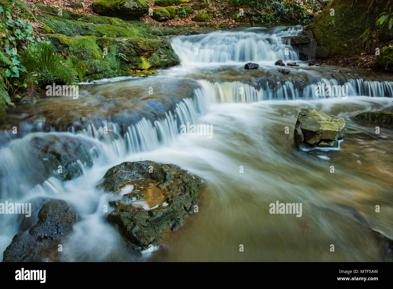 Waterfall in the West Sussex countryside, England Stock Photo - Alamy