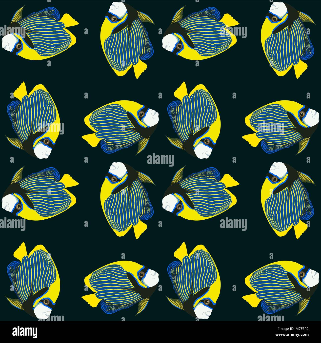 Imperator angelfish Stock Vector Images - Alamy