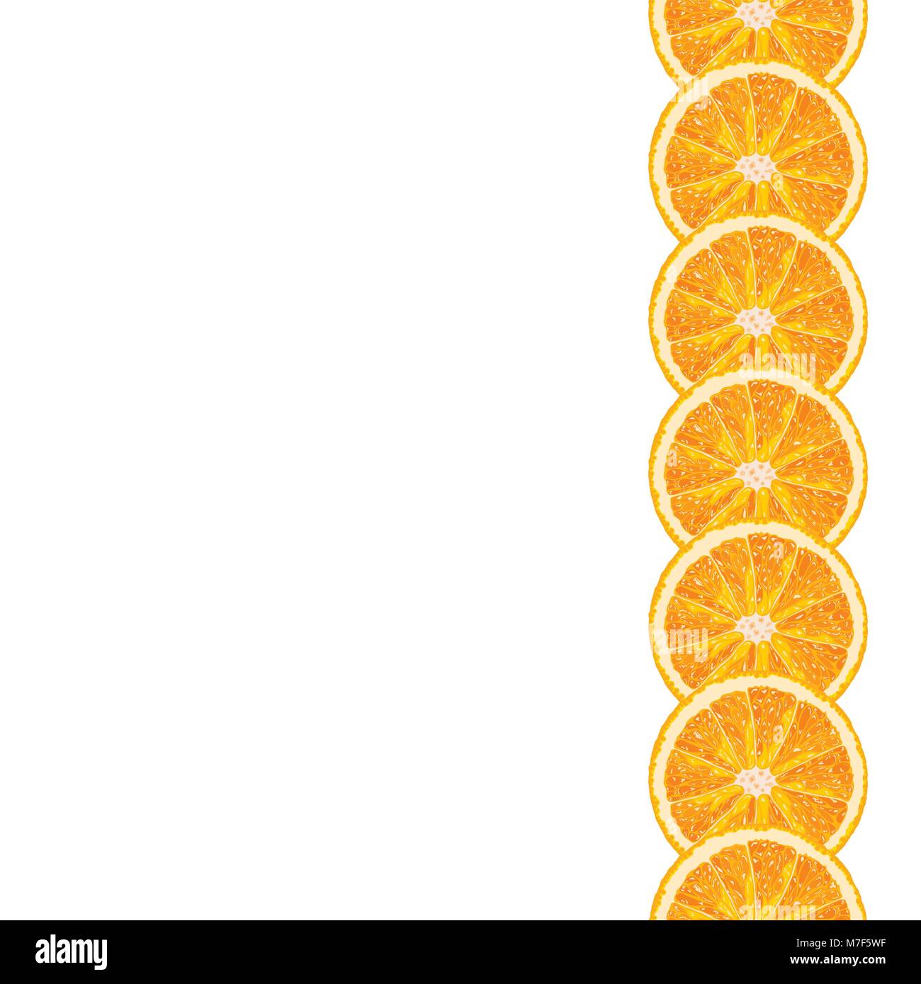 Vector seamless decorative vertical border of orange slices. Realistic ...