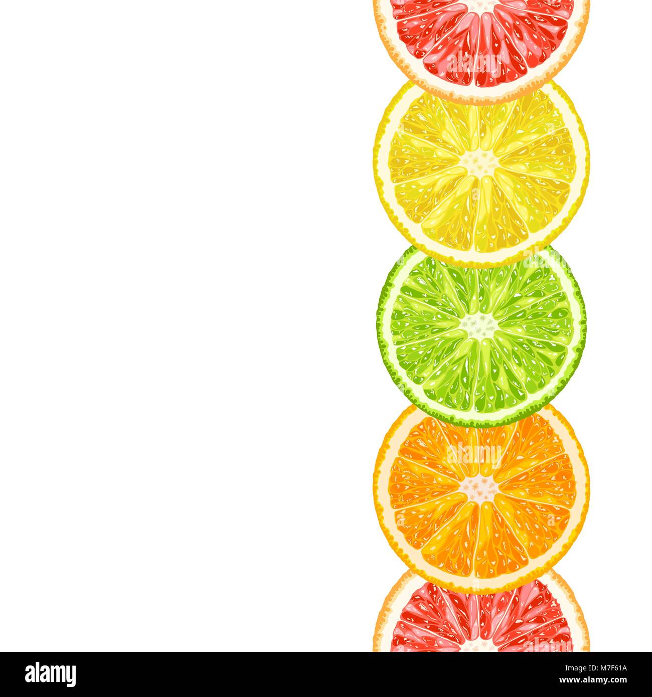 vector seamless border from citrus slices - lime, grapefruit, lemon ... vector seamless border from citrus slices - lime, grapefruit, lemon ...