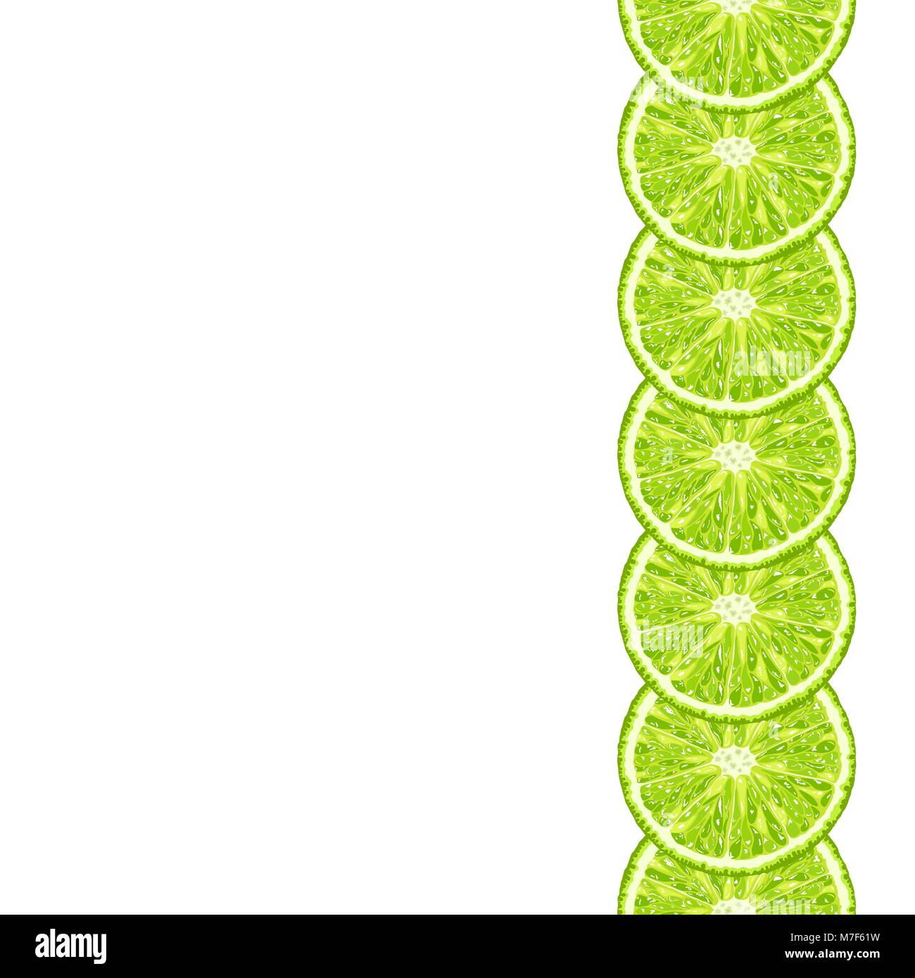 Vector seamless decorative border of lime slice. Realistic citrus ...