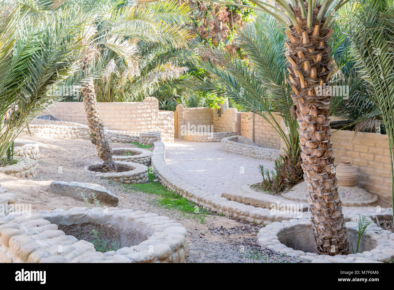 Al Ain oasis, Abu Dhabi, United Arab Emirates Stock Photo - Alamy