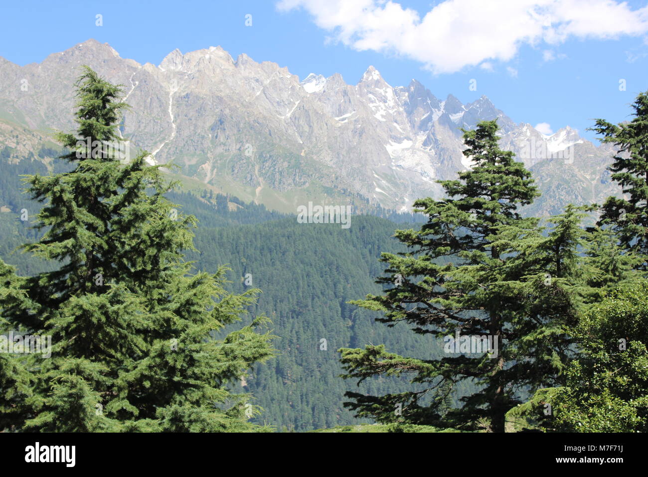 The Word created by God is so beautiful. Trees, Scenery make us happy ...