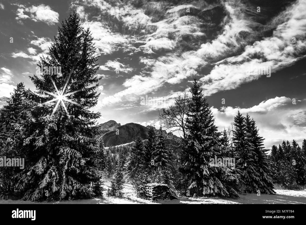 Alps snow mist in Black and White Stock Photos & Images - Alamy