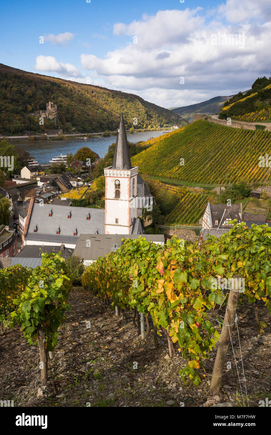 Rheingau vineyard hi-res stock photography and images - Alamy