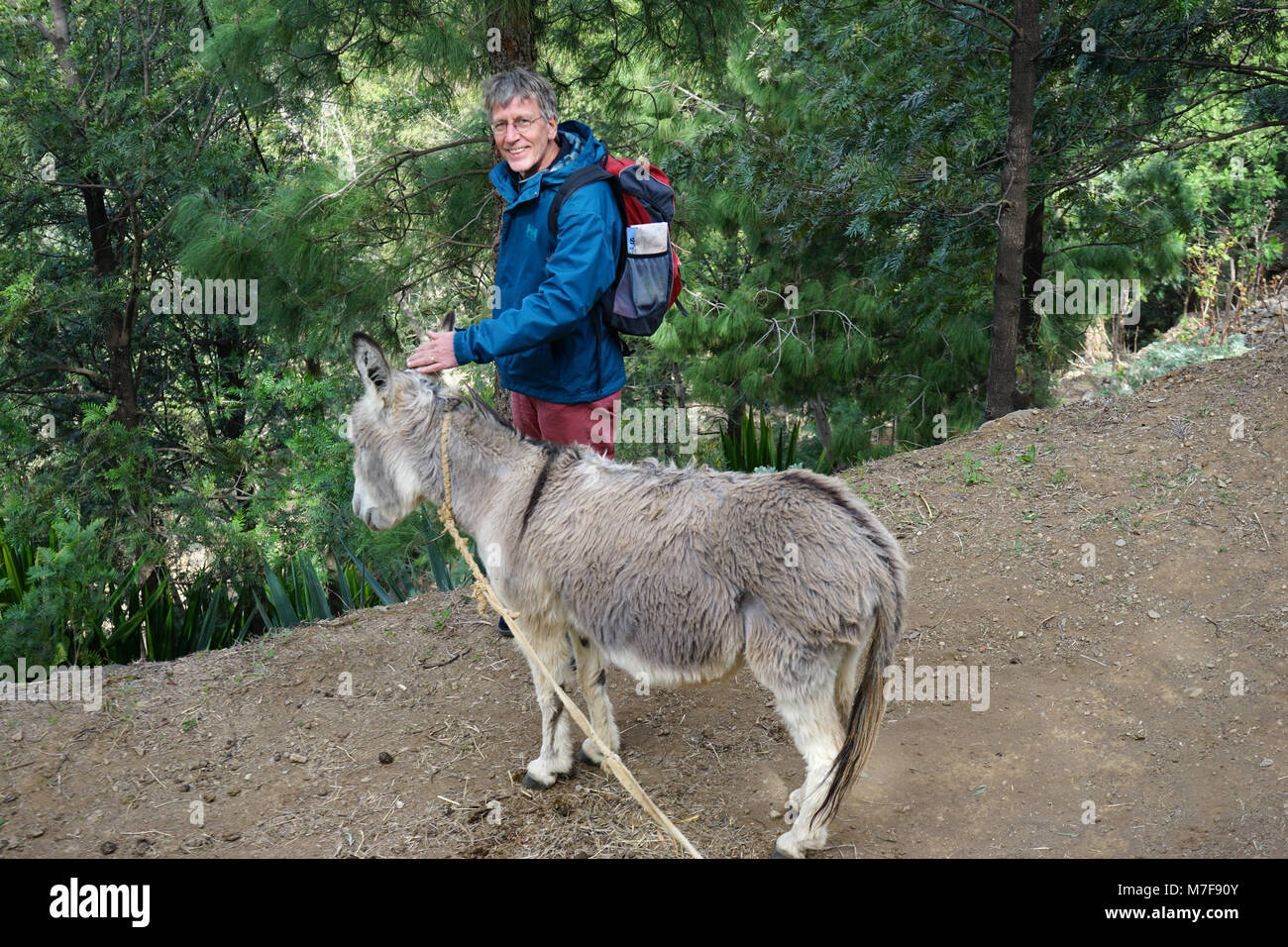 Man walking donkey hi-res stock photography and images - Alamy