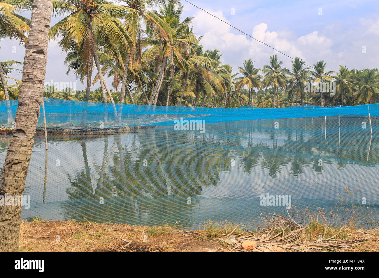 backwater tour of kollam and munroe island Stock Photo - Alamy