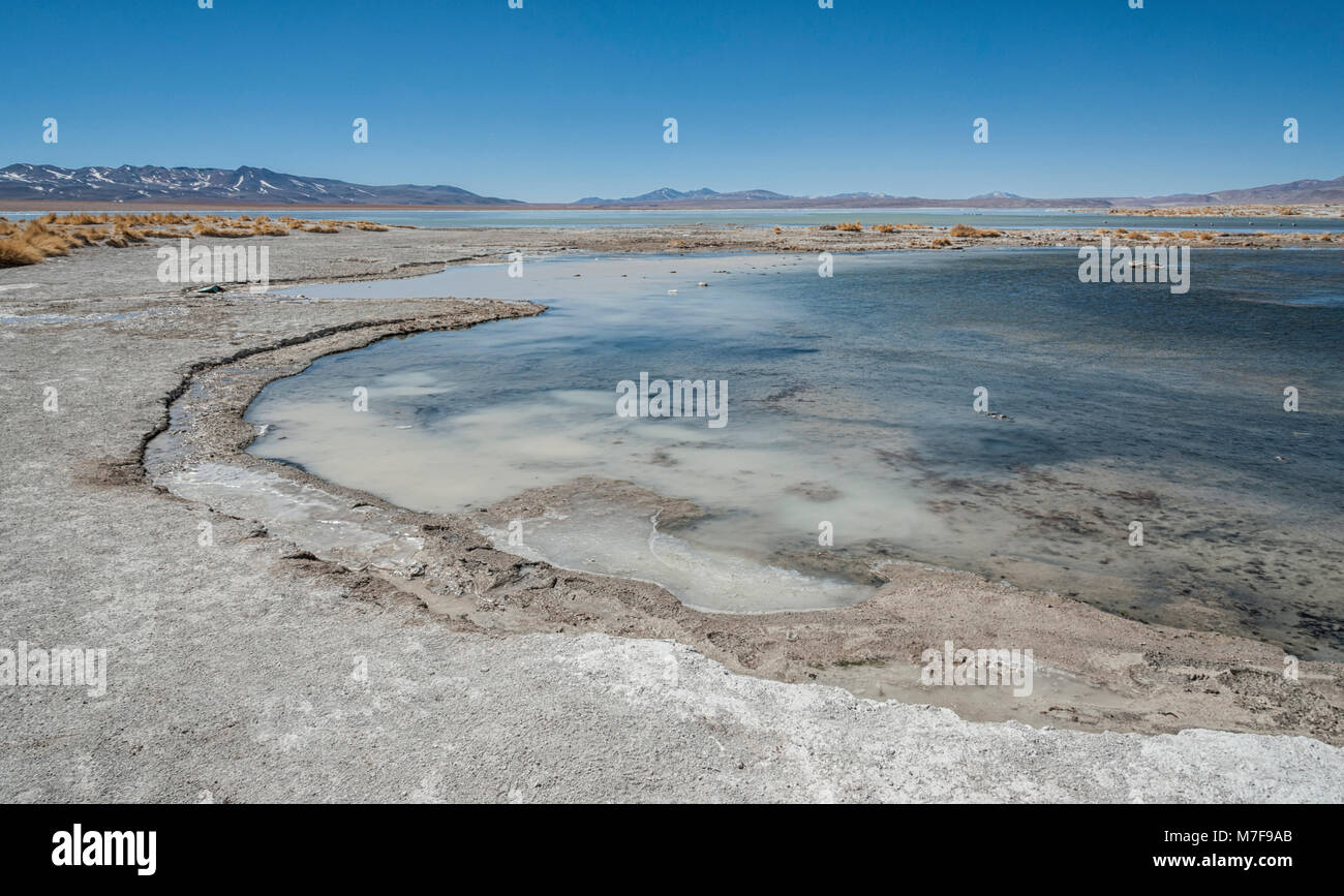 Laguna y Termas de Polques hot spring pool with Salar de Chalviri in ...