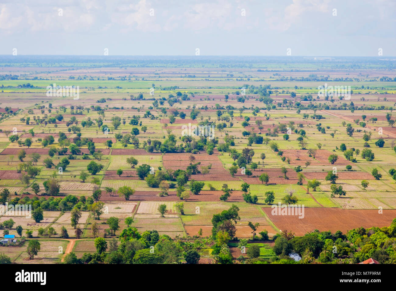 View to the green landscape with fields and trees of the Cambodian ...
