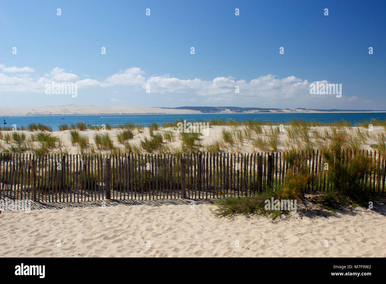 Cap ferret hi-res stock photography and images - Alamy