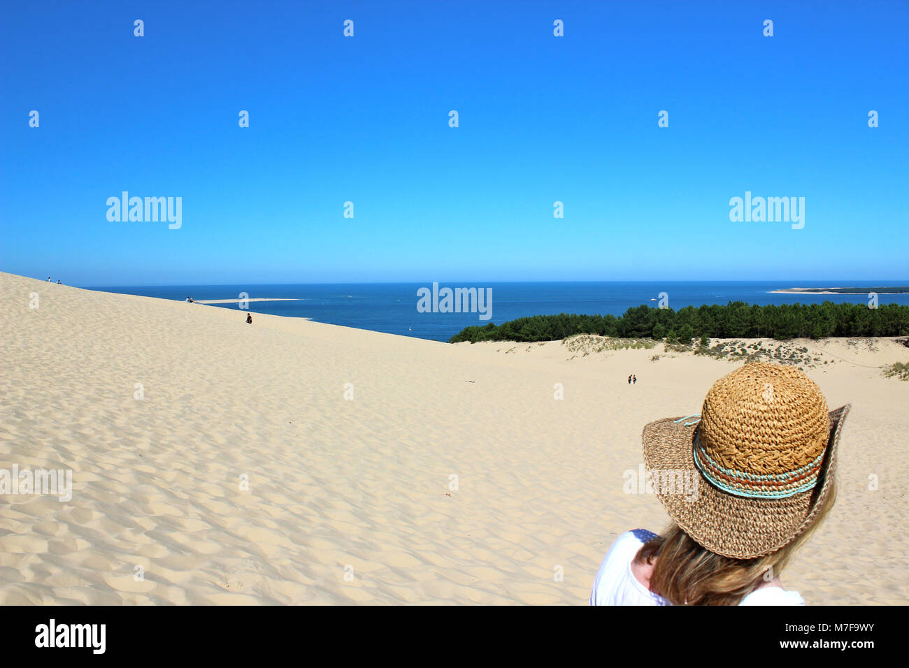 Dune fall hi-res stock photography and images - Alamy
