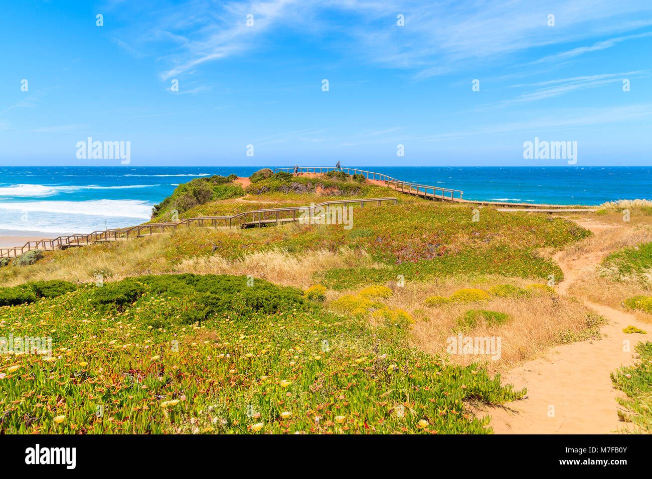 View of beautiful meadow with spring flowers near Amado beach, popular ...