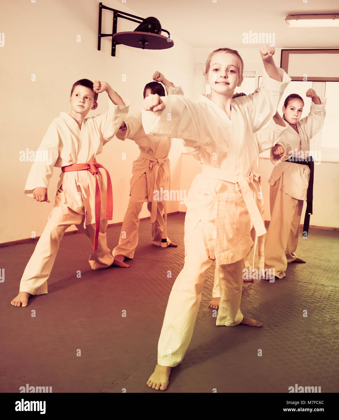 Group of children practicing karate moves at karate class Stock Photo ...