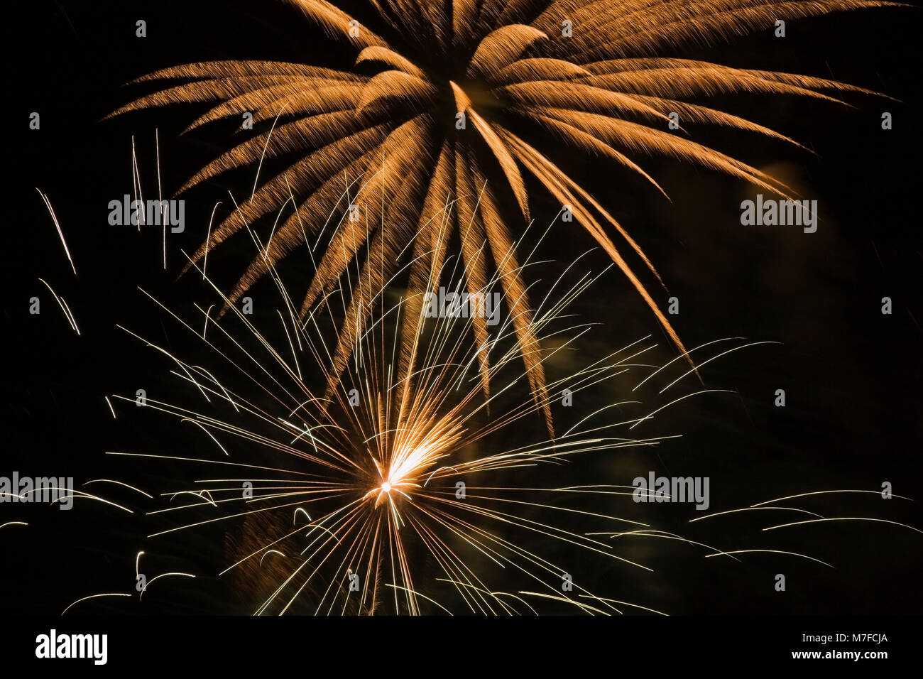 Gold Fireworks White Background