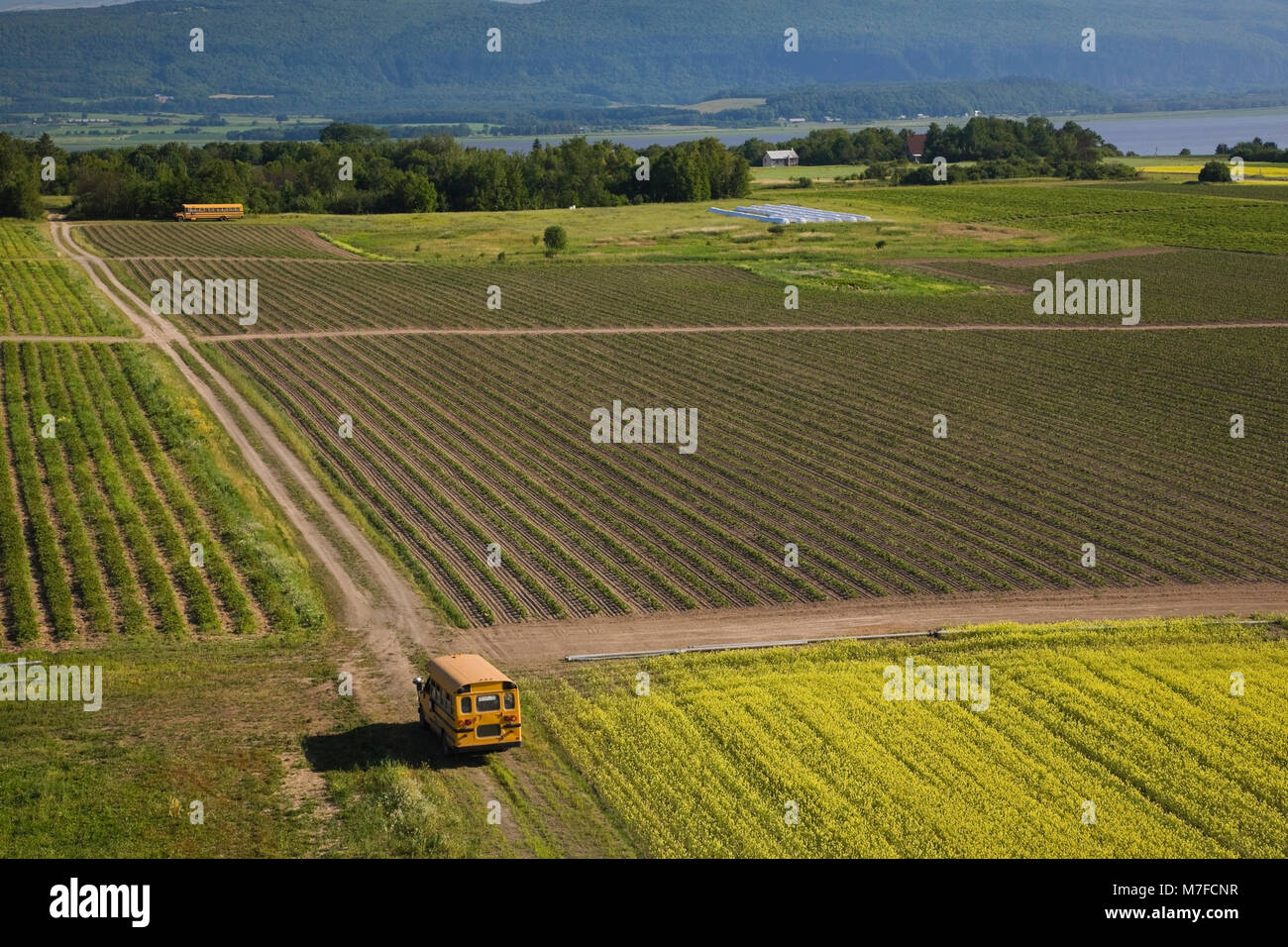 Aerial view school bus hi-res stock photography and images - Alamy