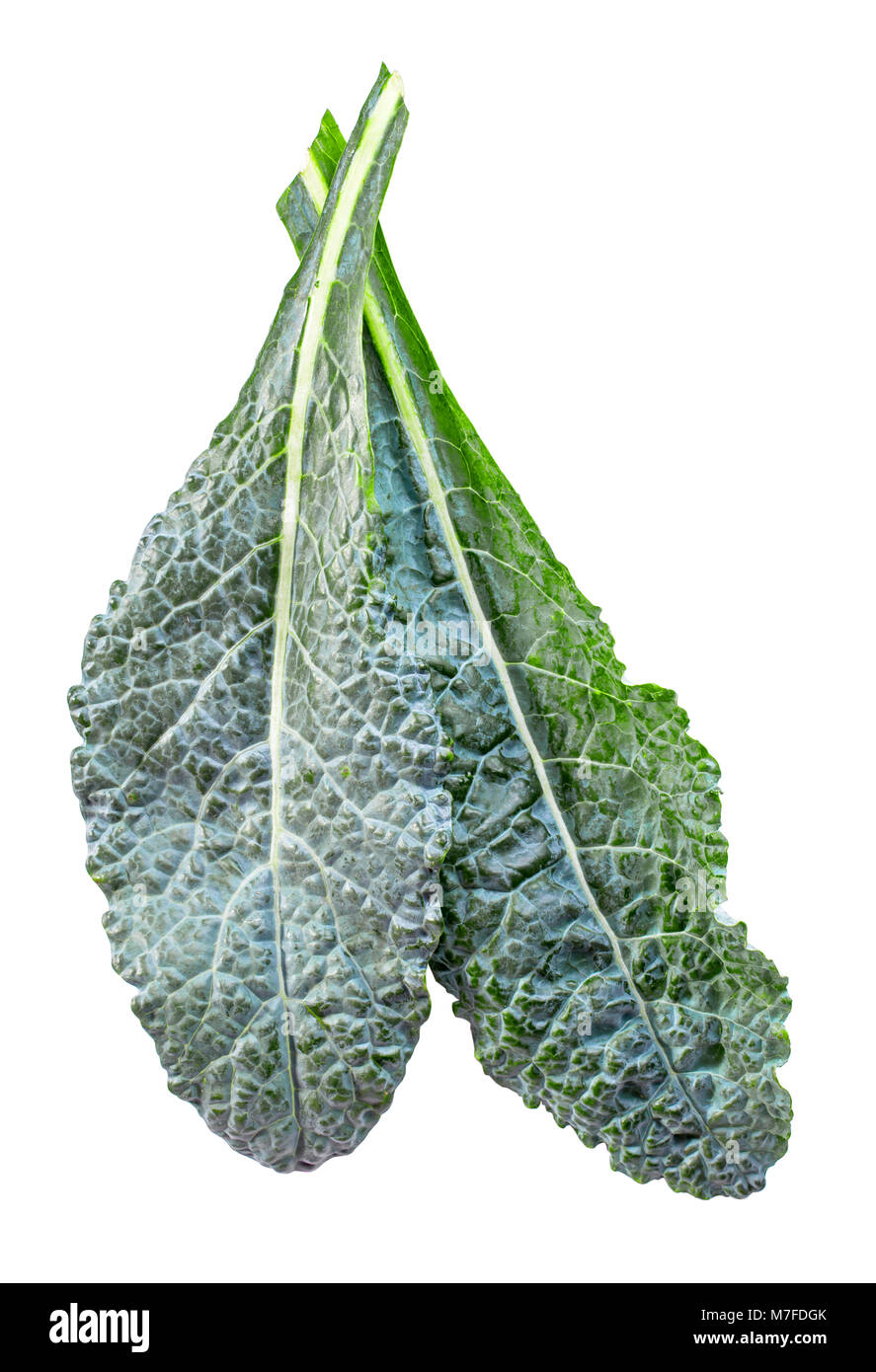 Dino the Cut Out Stock Images & Pictures - Alamy