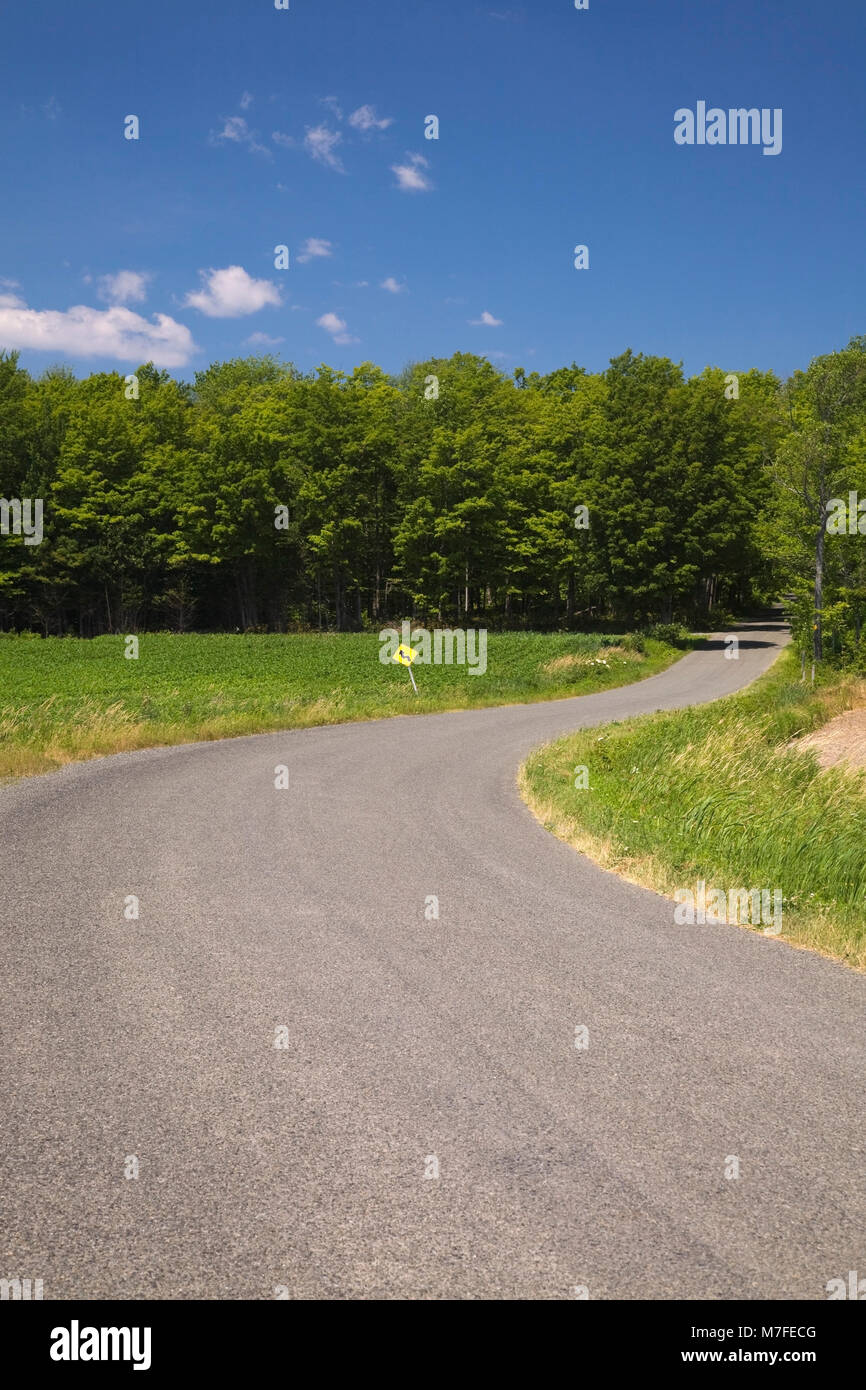 Country road through a forest hi-res stock photography and images - Alamy