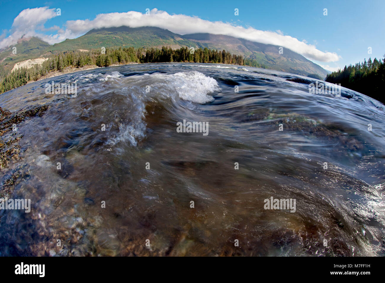 One of the fastest tidal waters in the world. On a three-metre tide ...