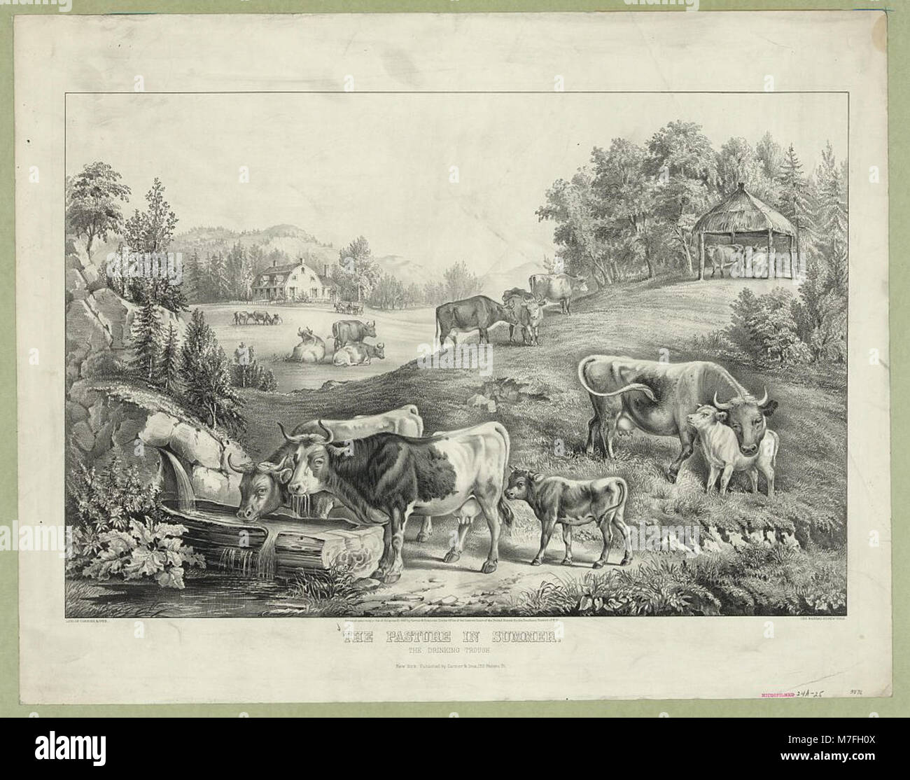 A pastoral scene depicting a summer pasture with a drinking trough. The ...