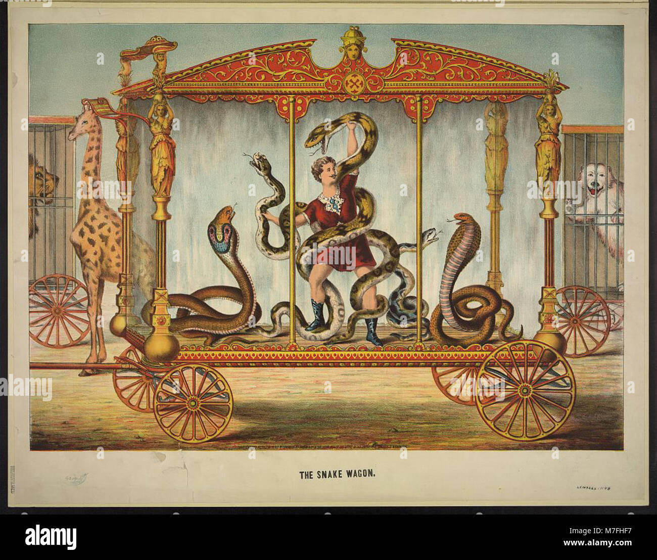 Wagon with animal hi-res stock photography and images - Alamy