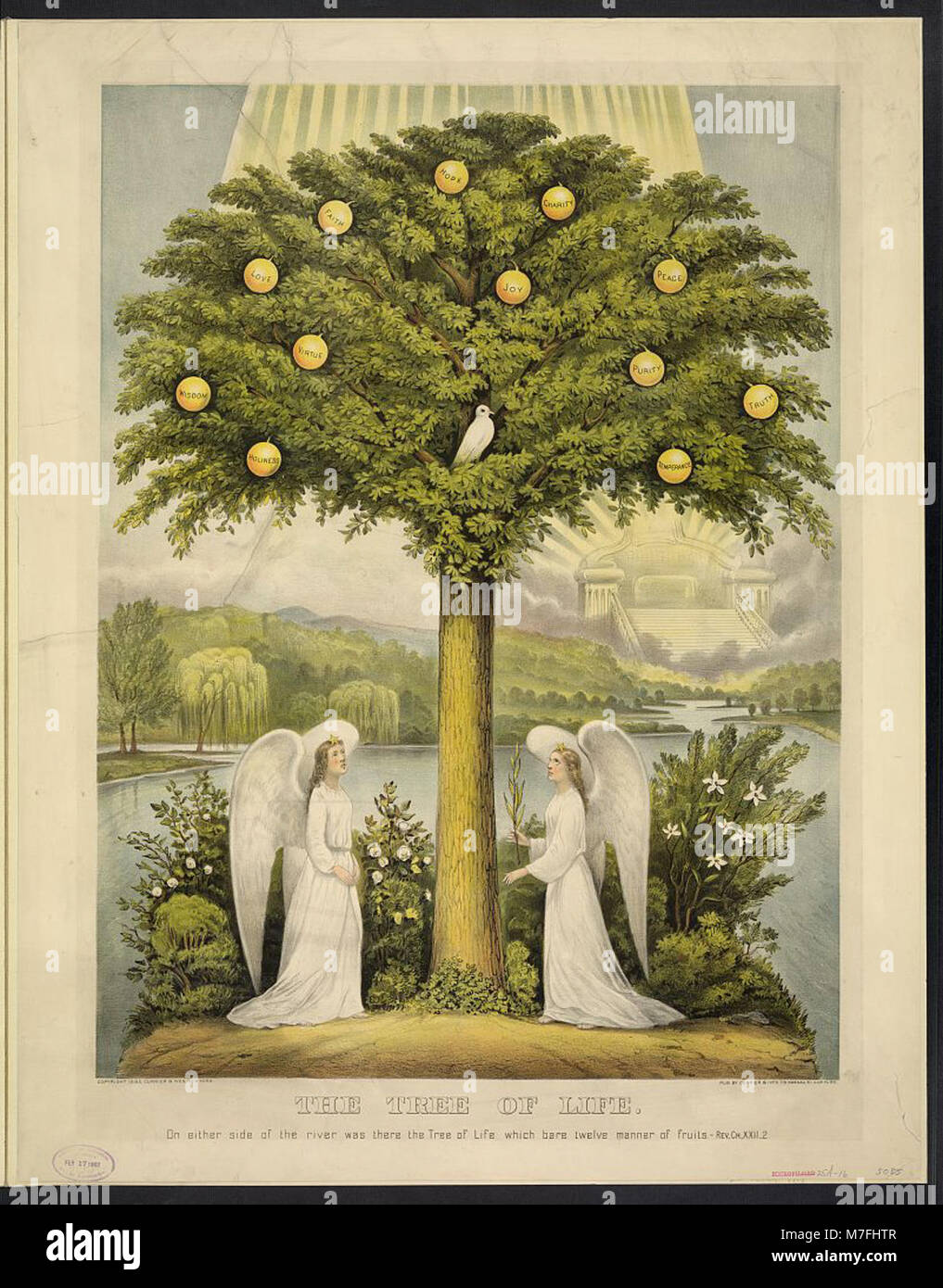 The tree of life- on either side of the river was there the tree of ...