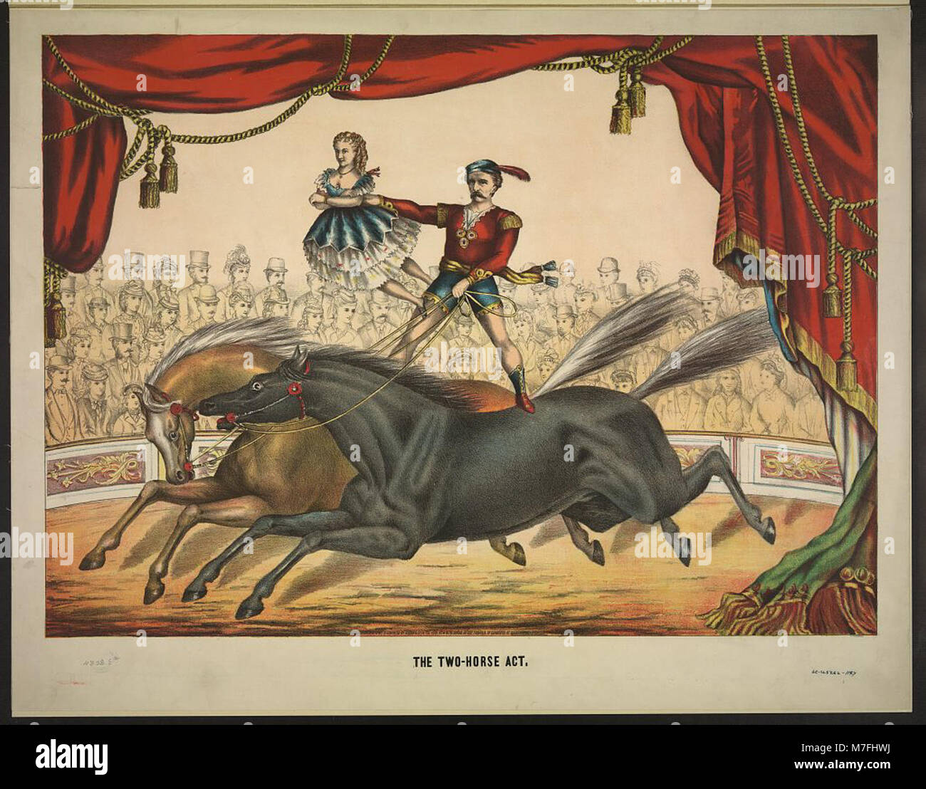 Circus act horse hi-res stock photography and images - Alamy