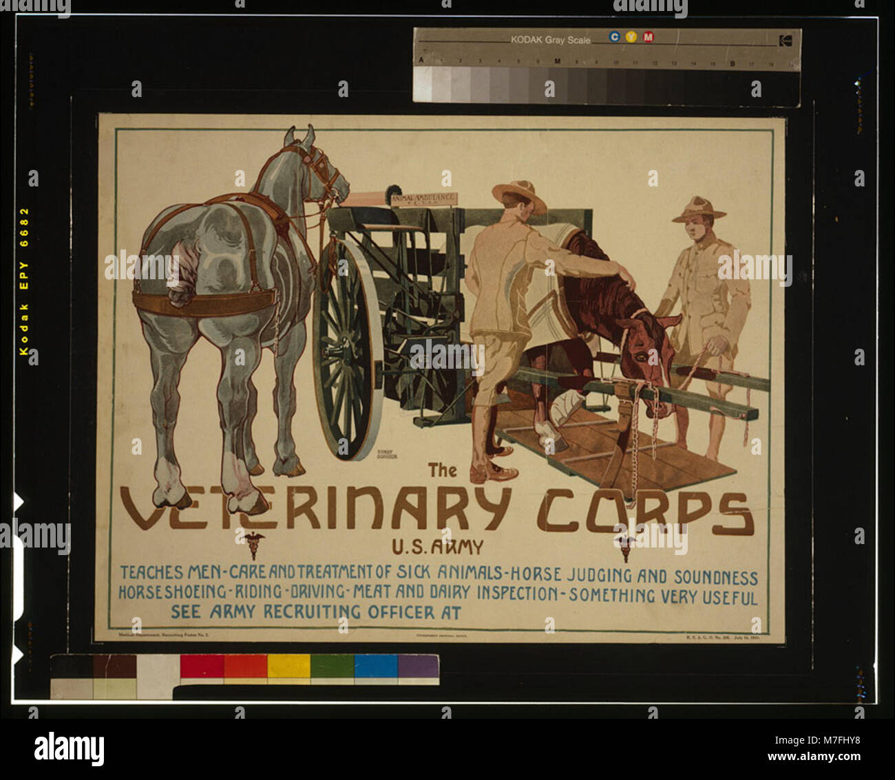 The U.S. Army Veterinary Corps trains soldiers in animal care ...