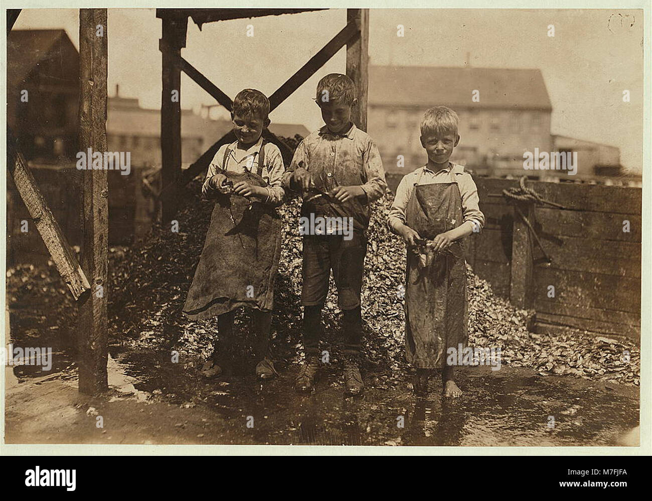 Three cutters hi-res stock photography and images - Alamy