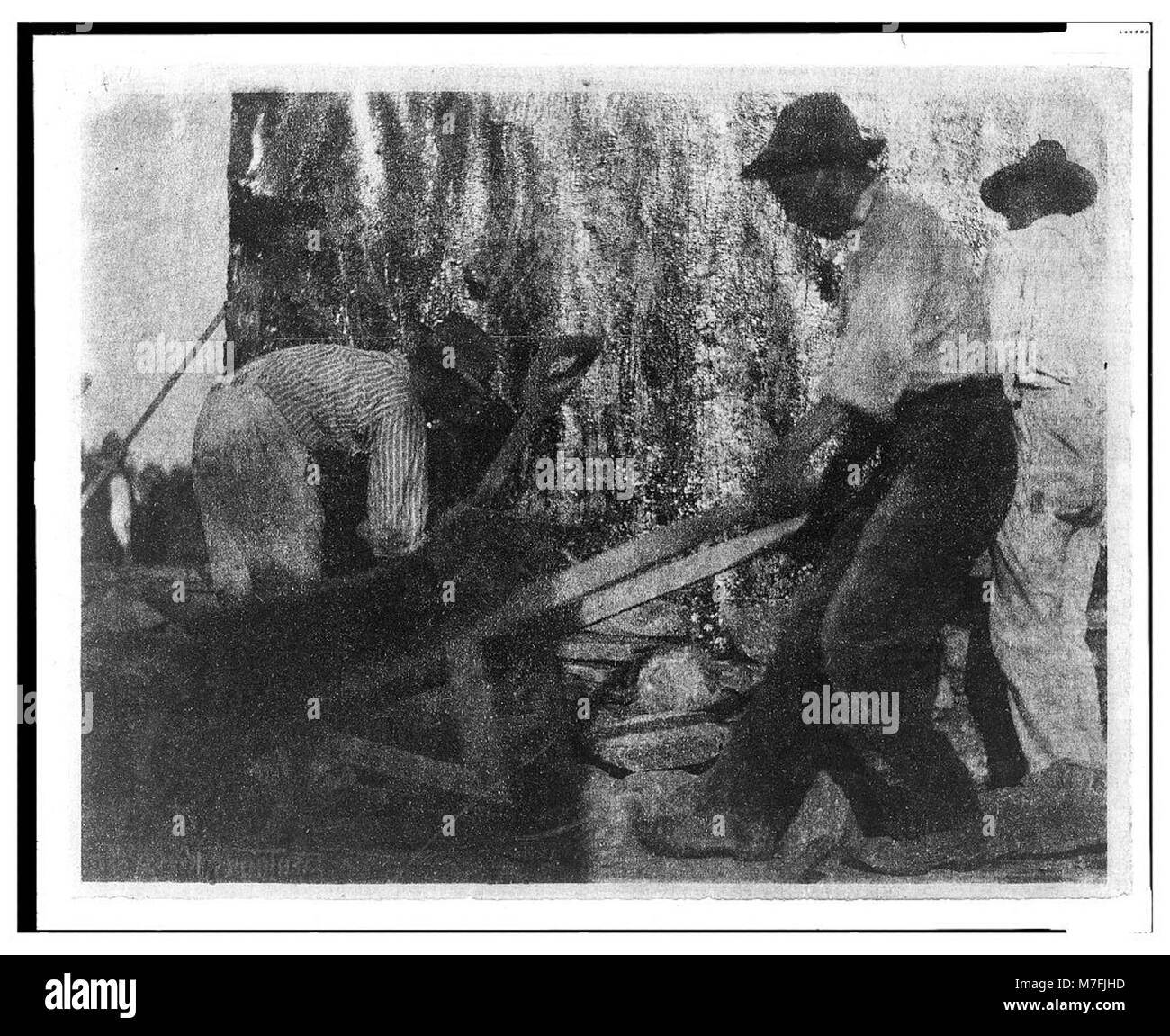 A photograph of three workmen, likely engaged in a labor-intensive task ...