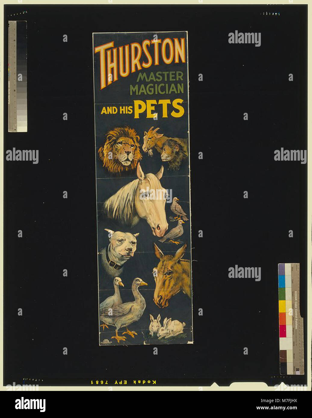 Master magician hi-res stock photography and images - Alamy