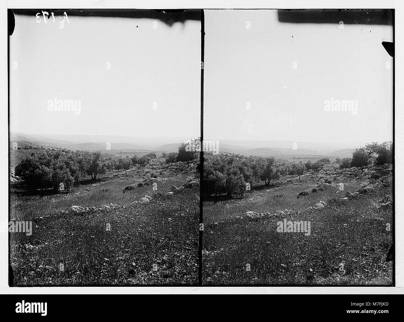 This photograph captures the view from lower Beth-Horon in the Ajalon ...