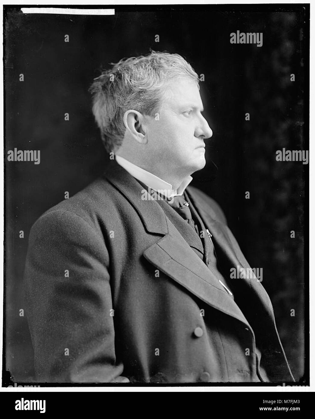 Senator B.R. Tillman, an influential figure in American politics, is ...
