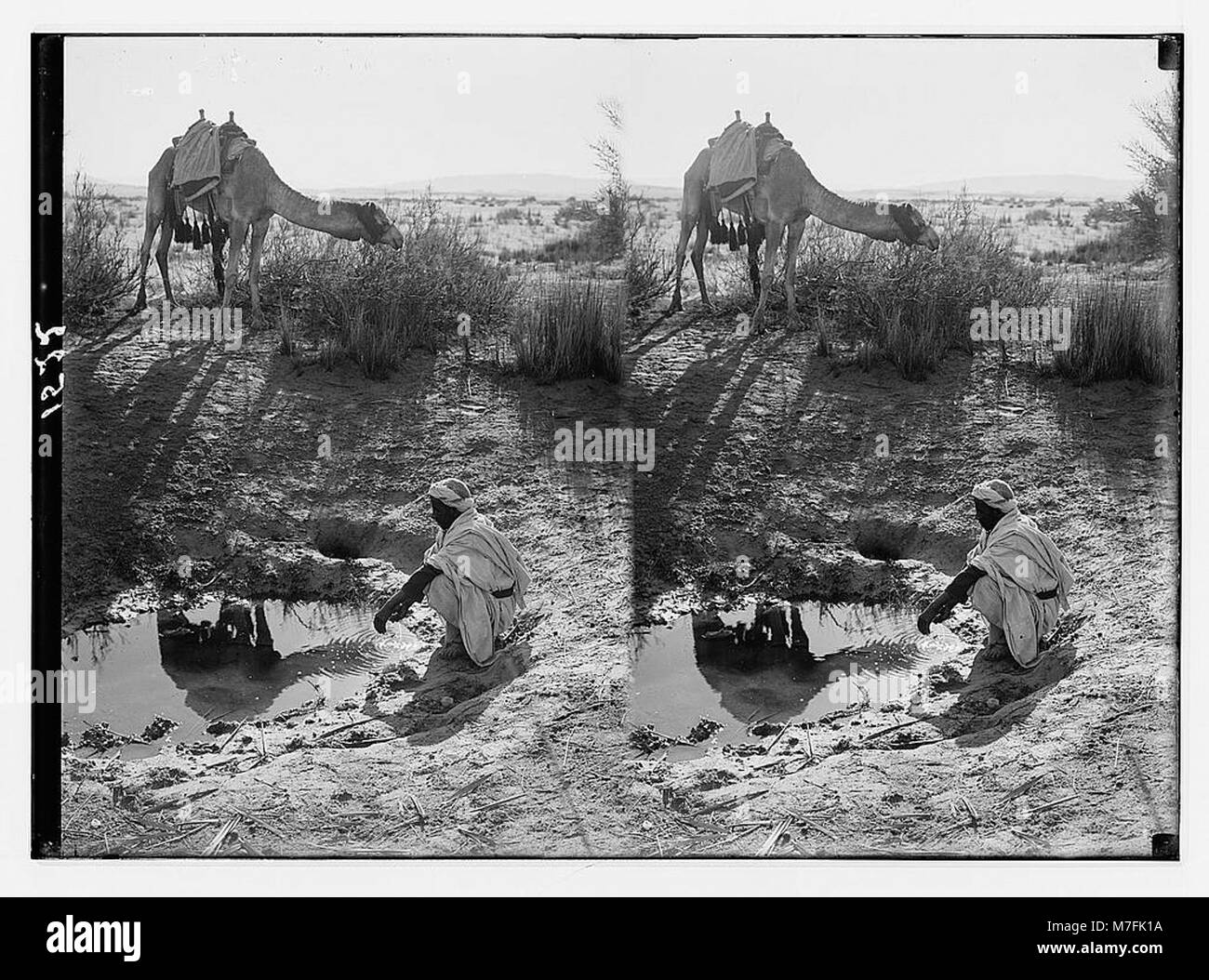 This image captures the Bitter Spring in Wady Taiybeh on the route to ...