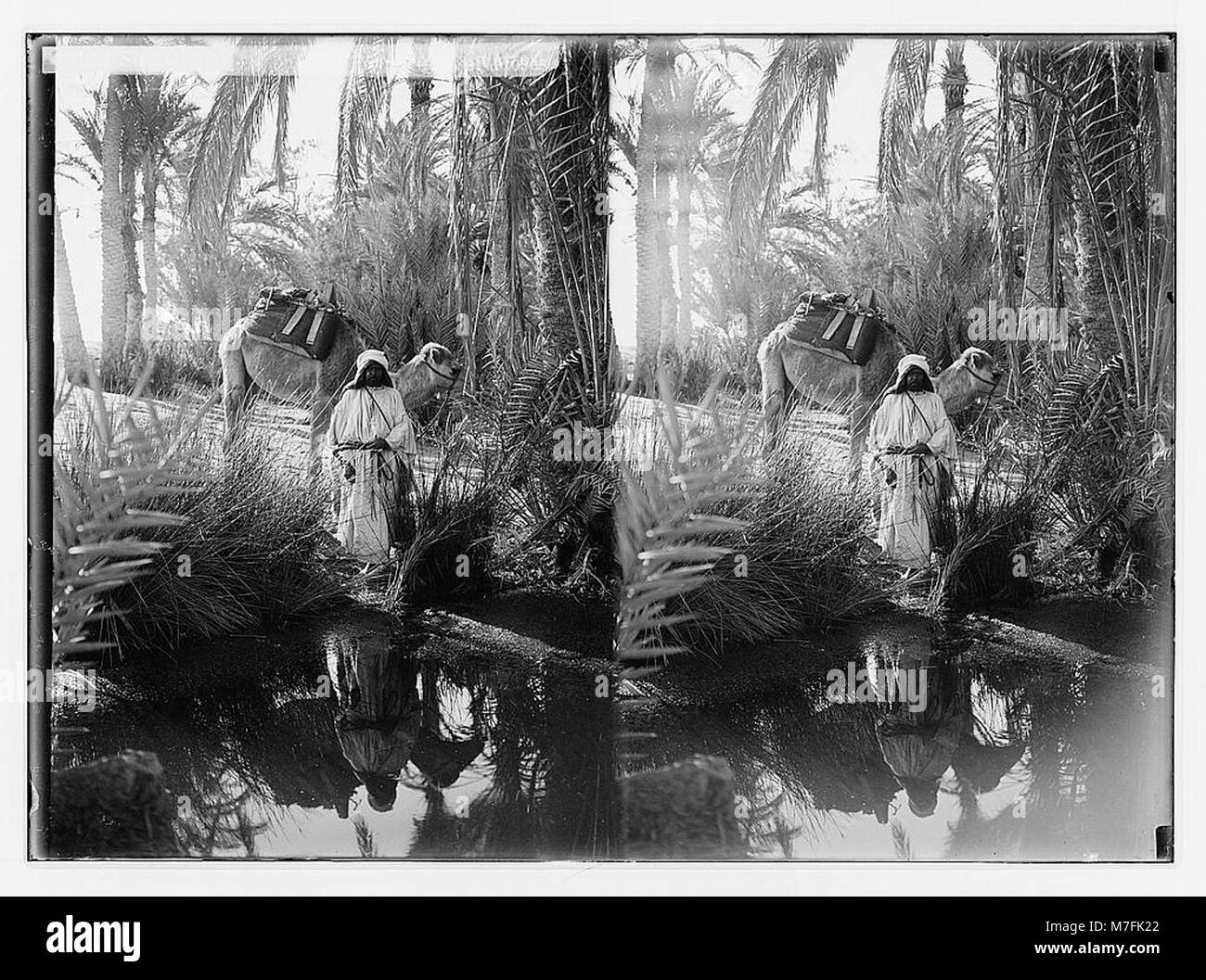 This image depicts a view of one of the Springs of Moses located near ...