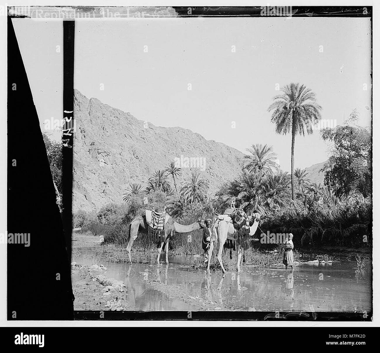 A photograph capturing Wady Feiran in the Sinai Desert, known for its ...