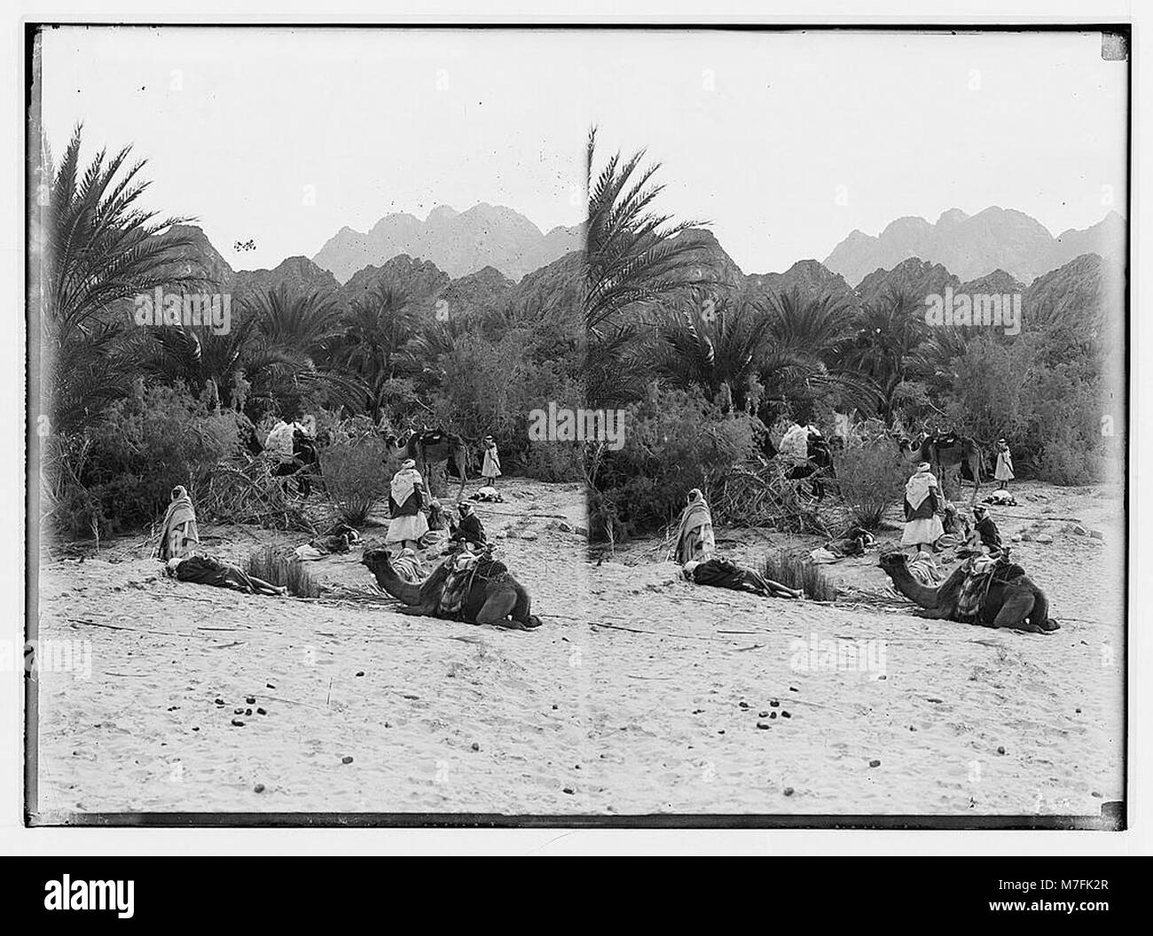 This photograph captures the desert landscapes of Wady Feiran and Jebel ...