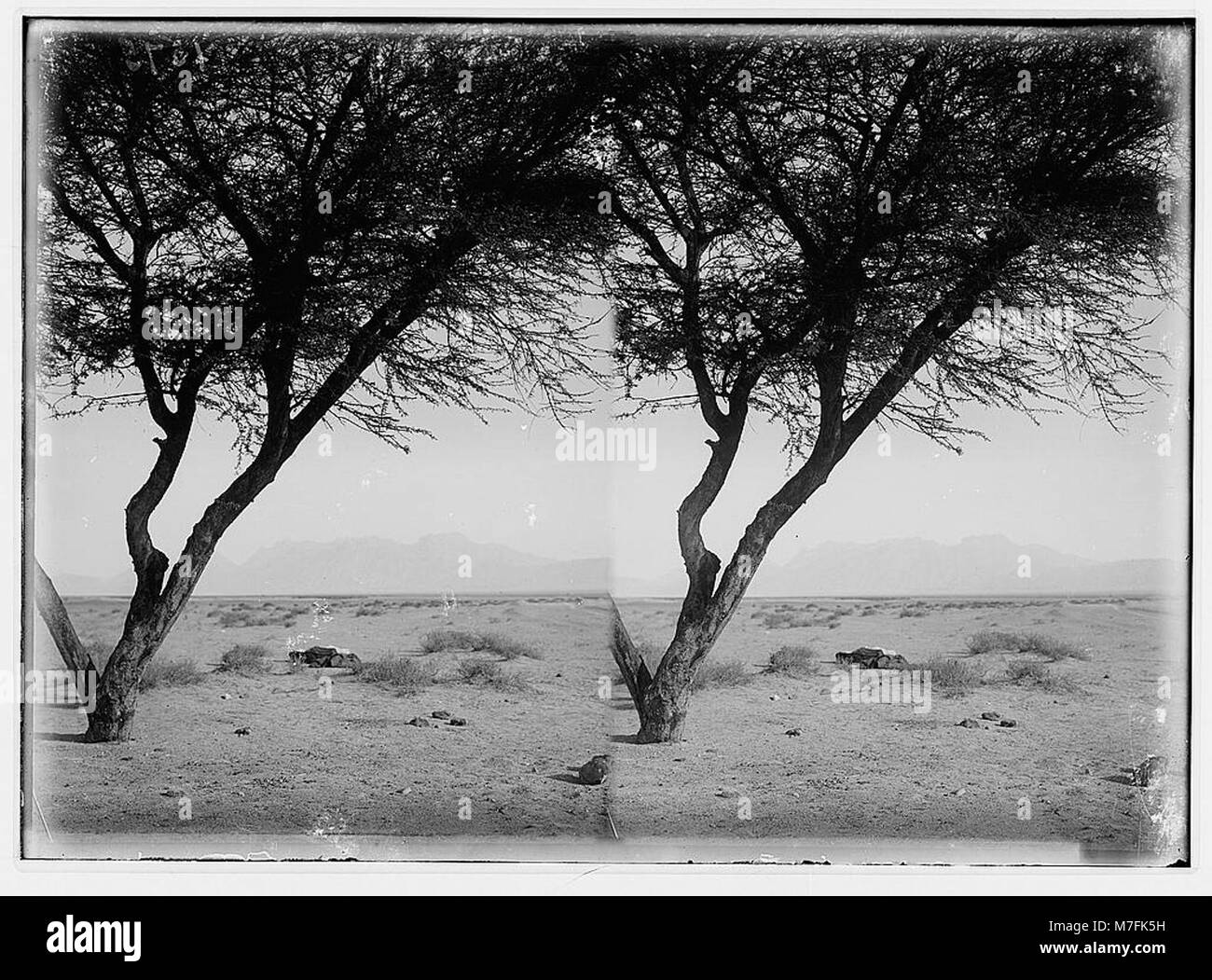A photograph showing a journey to Sinai via the Red Sea, passing ...