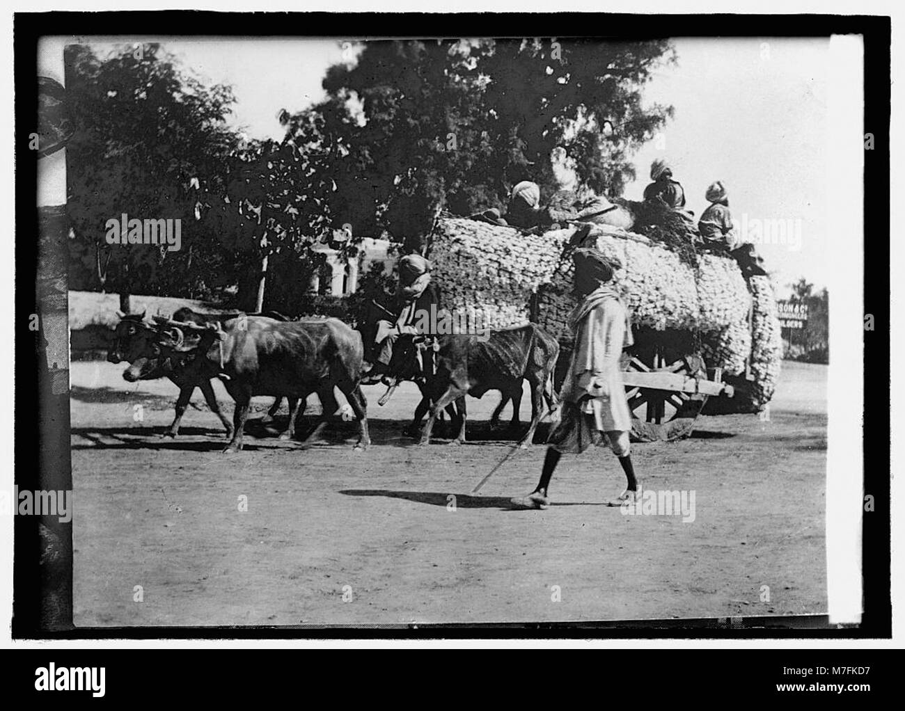 A photograph showcasing various modes of transportation in India. The ...