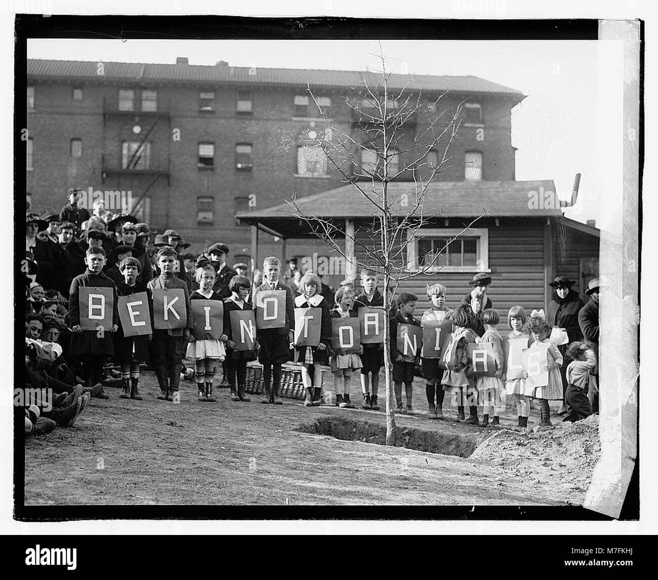 A photograph of tree planting activity in progress on April 15, 1920 ...