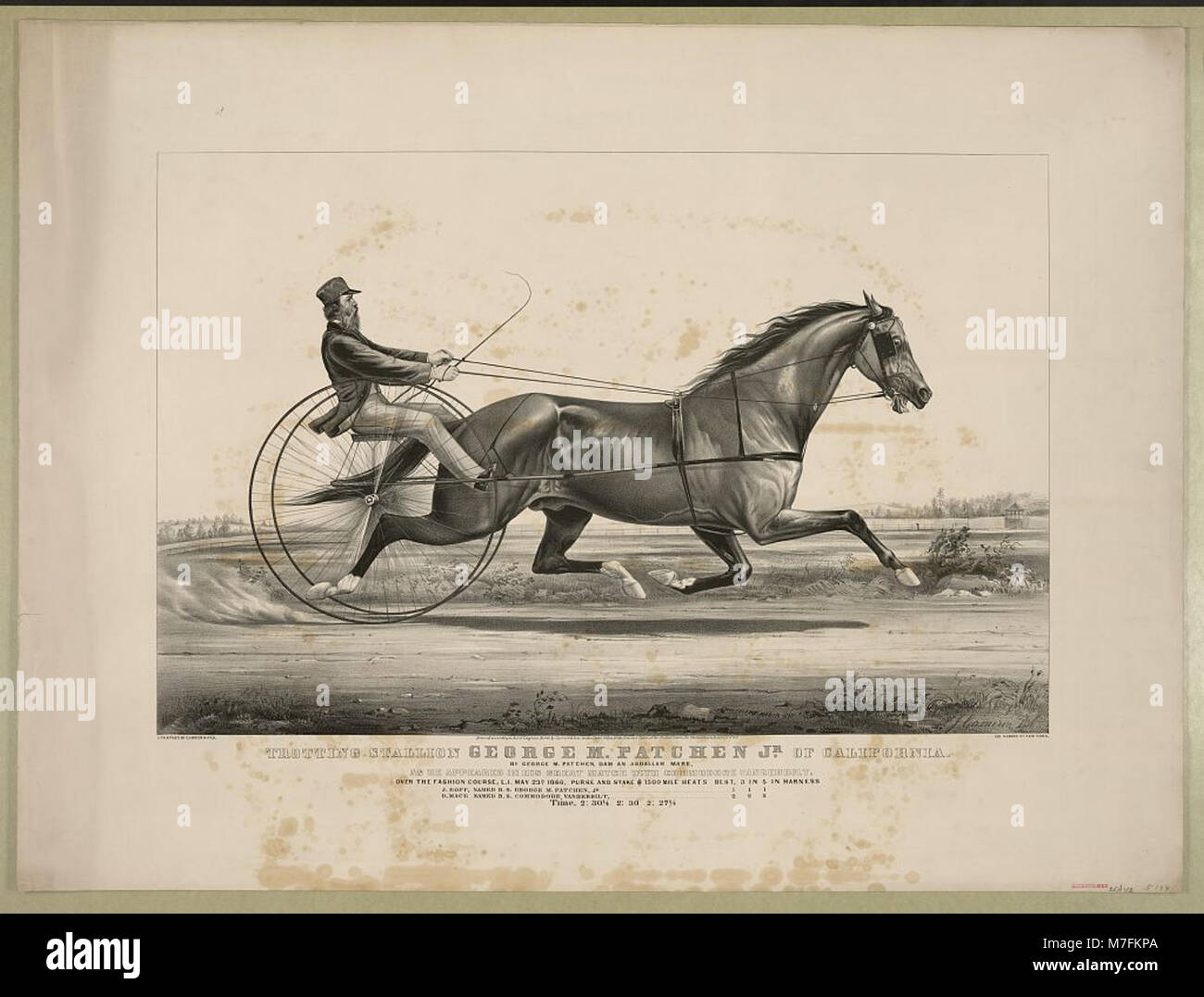 George M. Patchen Jr., a trotting stallion from California, is shown in ...