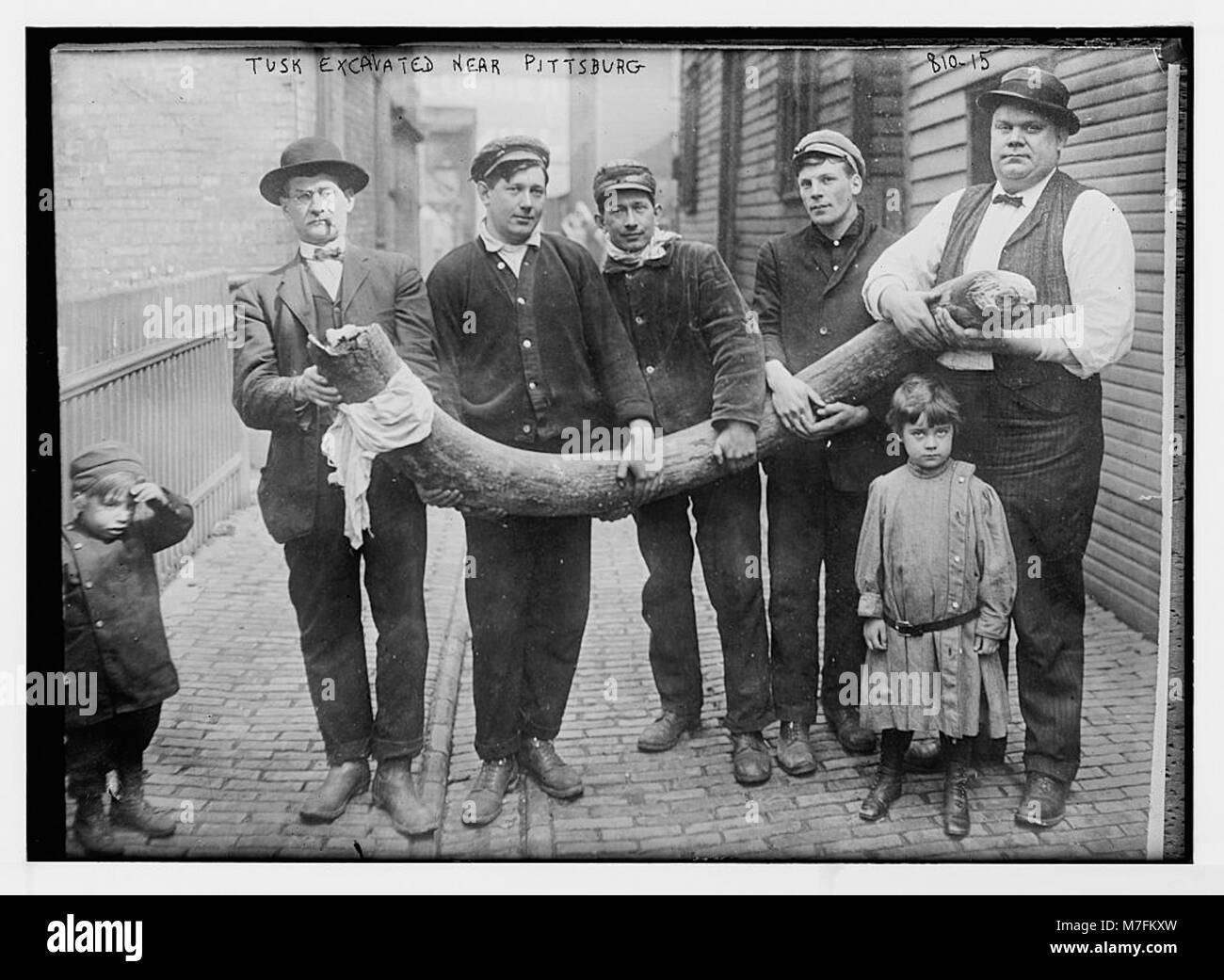 Animal bones excavation Black and White Stock Photos & Images - Alamy