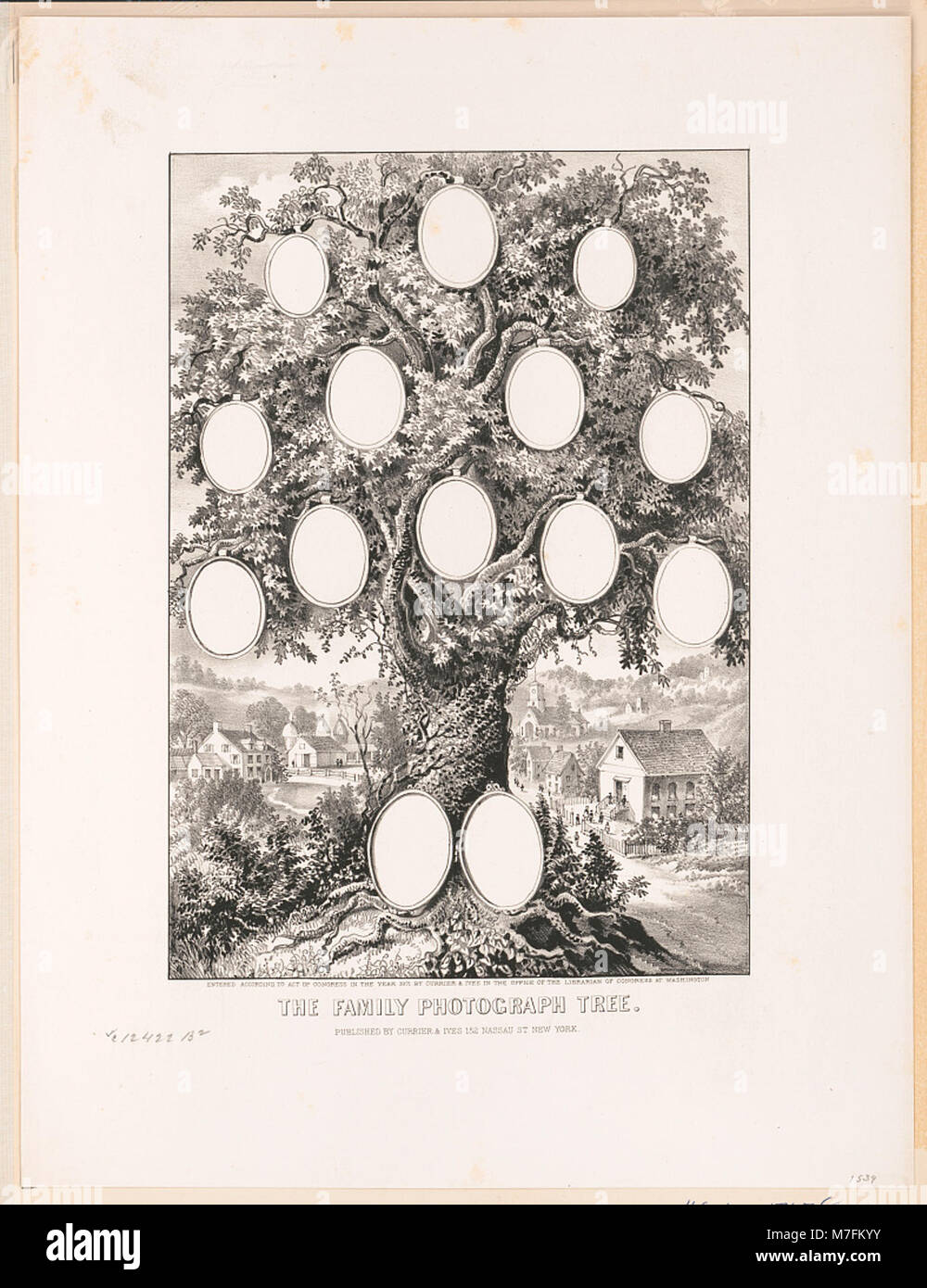 This family photograph tree shows generations of family members in a ...