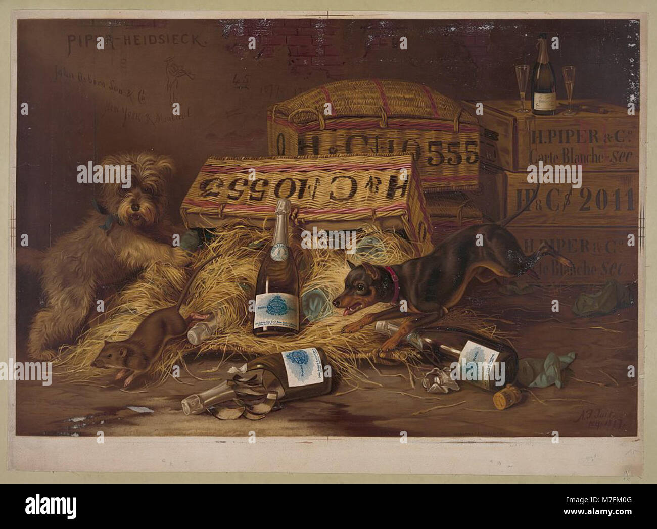 This image depicts two dogs chasing a mouse through an open case of ...