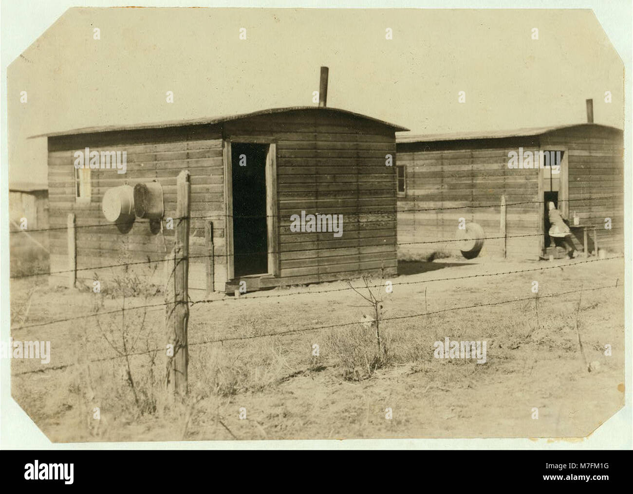 Photograph of two new shacks, near Sterling, where beet workers reside ...