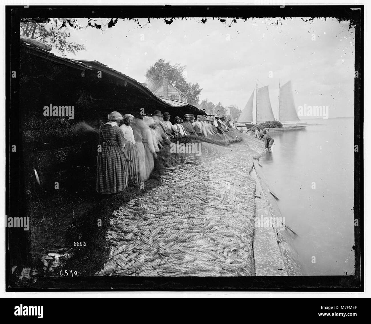 The U.S. Fish Commission, an early federal agency responsible for ...