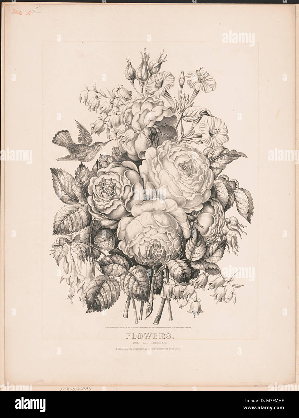 The photograph features a combination of roses and bluebells, capturing ...