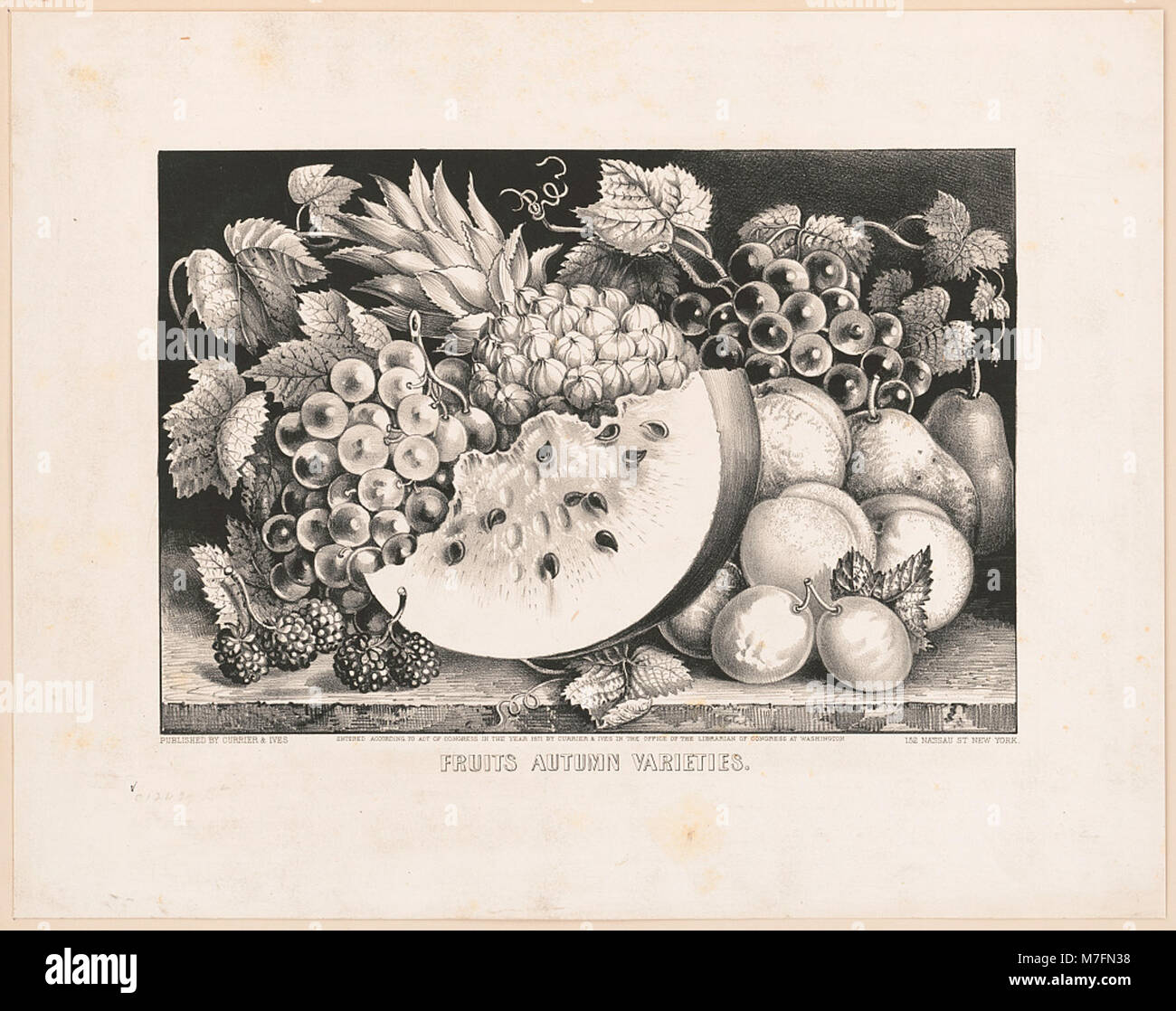 Fruits ancient varieties hi-res stock photography and images - Alamy