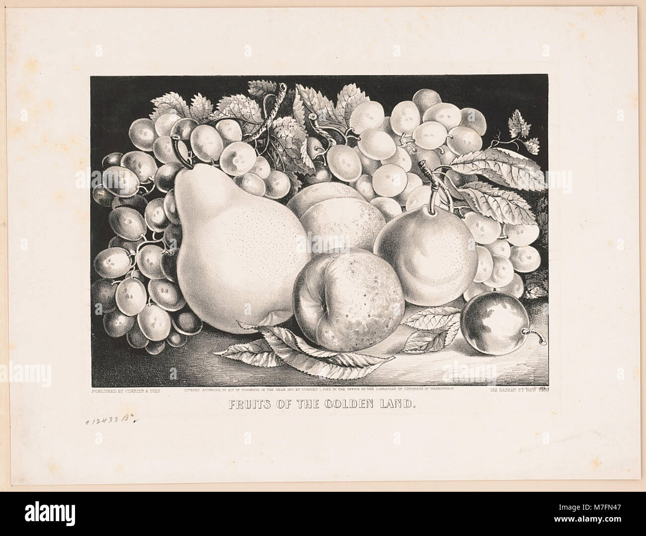 An image depicting the harvest of fruits in a prosperous agricultural ...